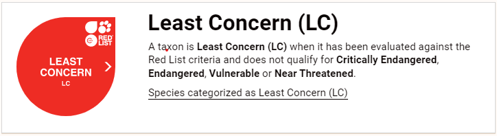 Sierra Nevada Birds IUCN Red List – Reflections of the Natural World