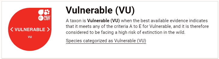 Sierra Nevada Birds IUCN Red List – Reflections of the Natural World