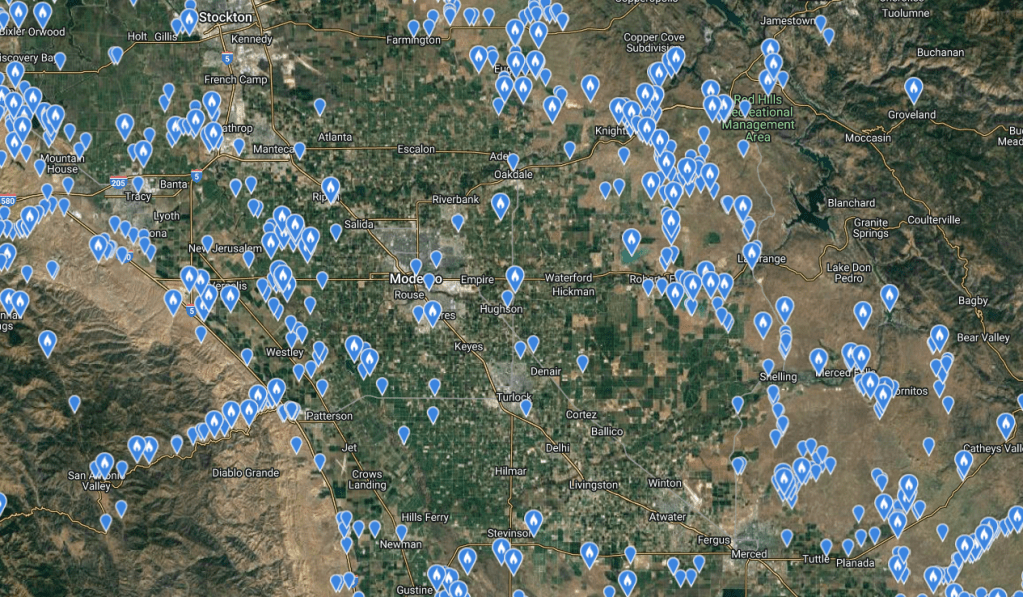 Horned Lark – Reflections of the Natural World