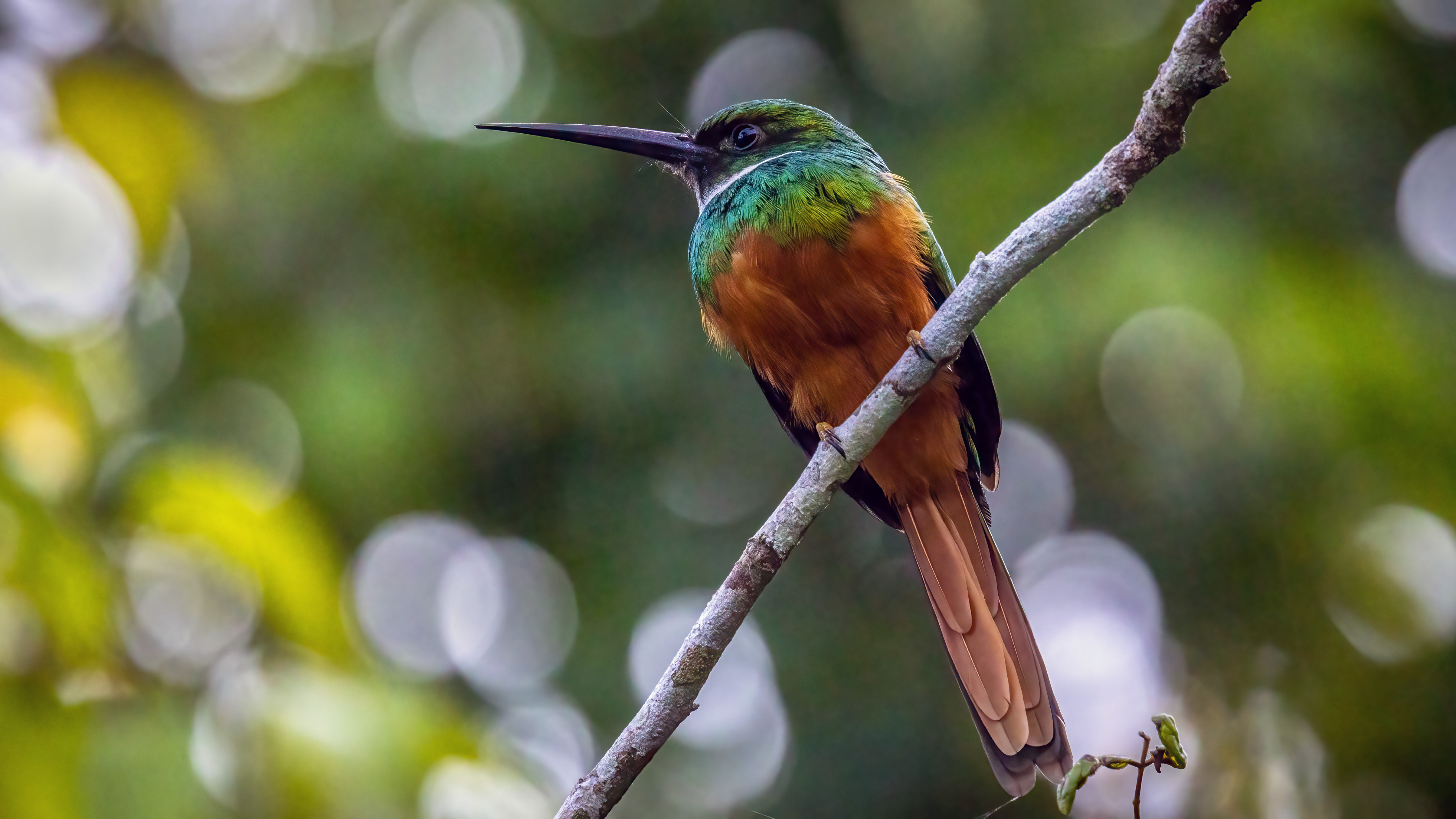 yucatan-wallpapers-2-102-1 – Reflections of the Natural World