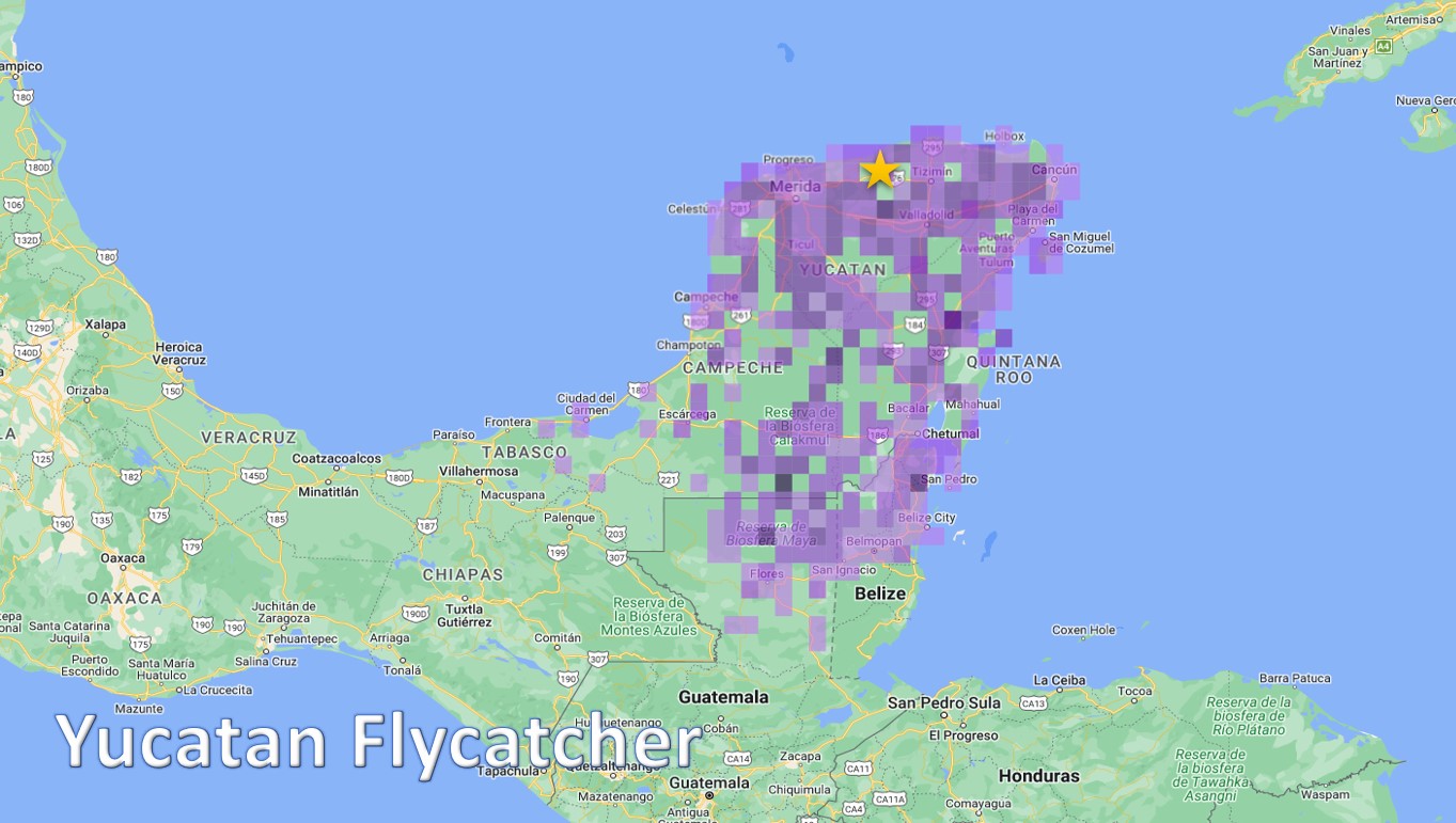 yufl-map – Reflections of the Natural World